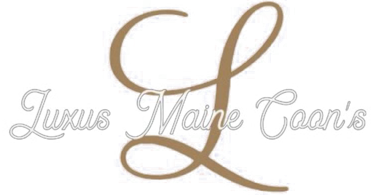 Kings and queens - Welcome to Luxus Maine Coon’s